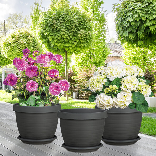 Scheurich Pflanzgefäß Country Star 40, 3er-Set | ALDI ONLINESHOP
